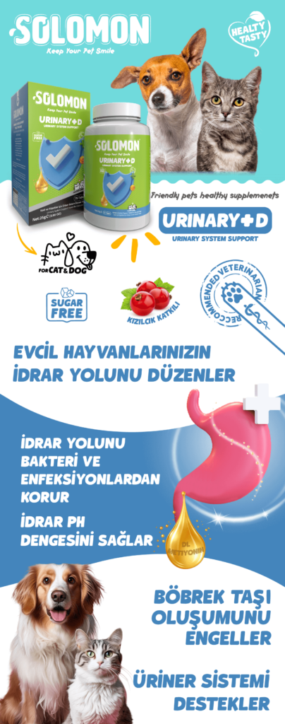 Solomon Urinary Plus D Tablet Kedi Ve Köpek İçin - Solomon